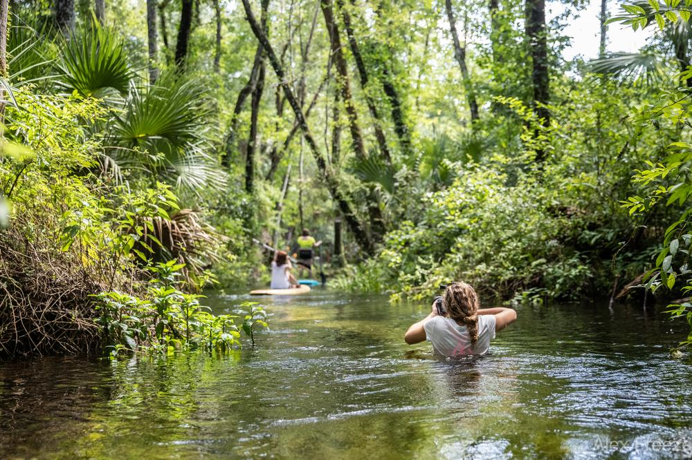 ‘Strand to Slough Expedition’ offers rare opportunity - Pineisland Eagle
